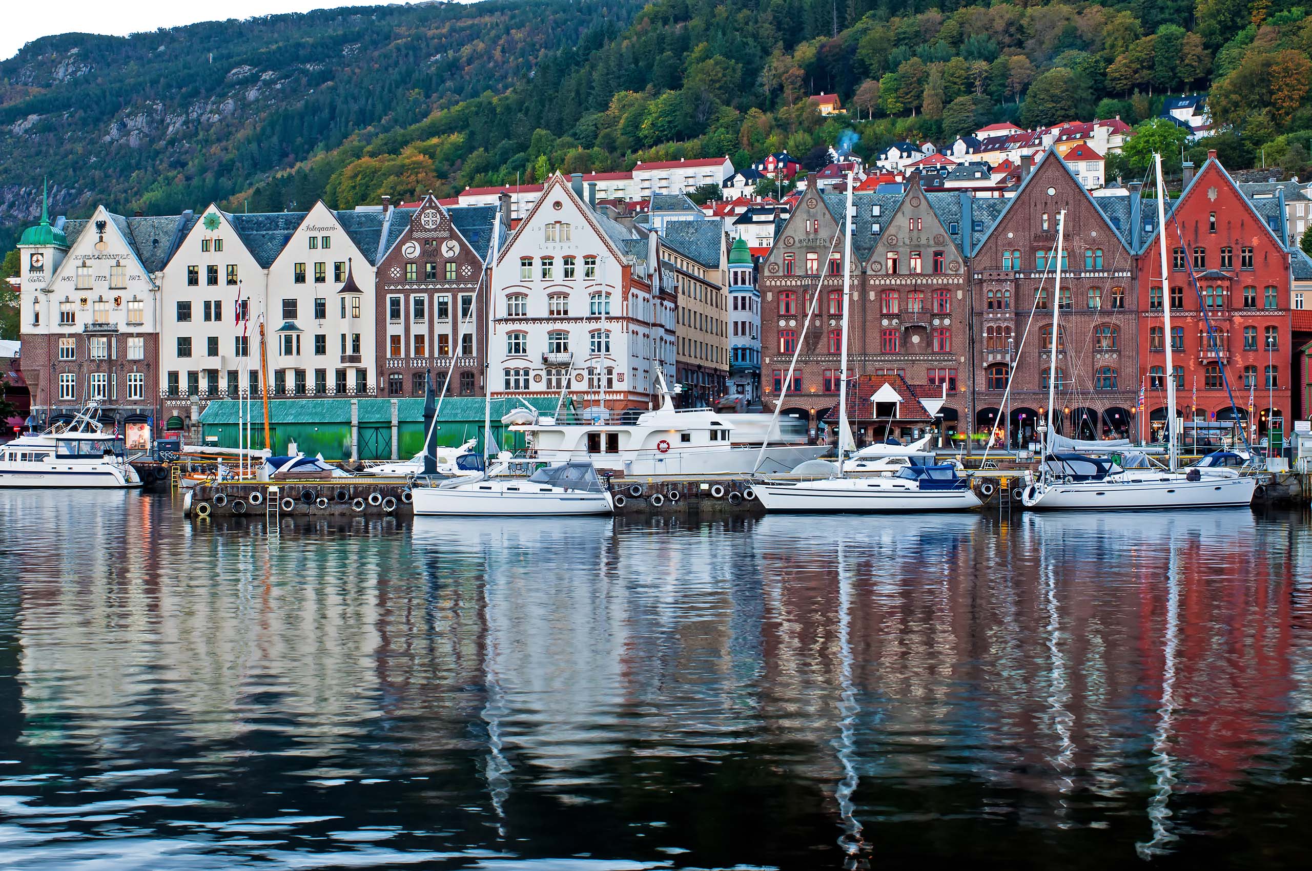Basic Fjord Tour from Bergen: 1-Hour Sightseeing Cruise | Bergen Fjord ...